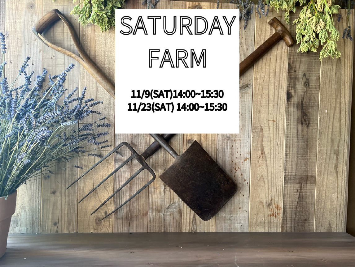 【11/9(土）、11/23(土）】11月のSaturday Farm | 渋谷区ふれあい植物センター